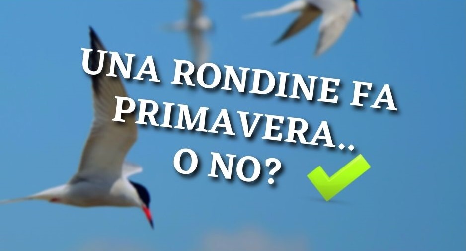 Una rondine fa primavera.. o no? - Il Tigullio